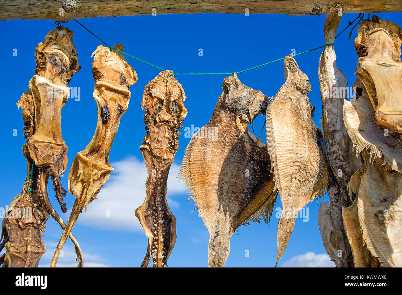 Drying Fish Hanging High Resolution Stock Photography and Images - Alamy