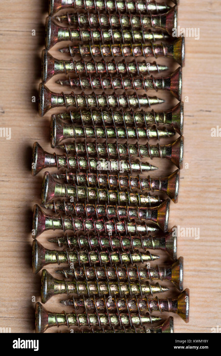 Collection of woodworking, DIY, home improvement screws on a wood ...