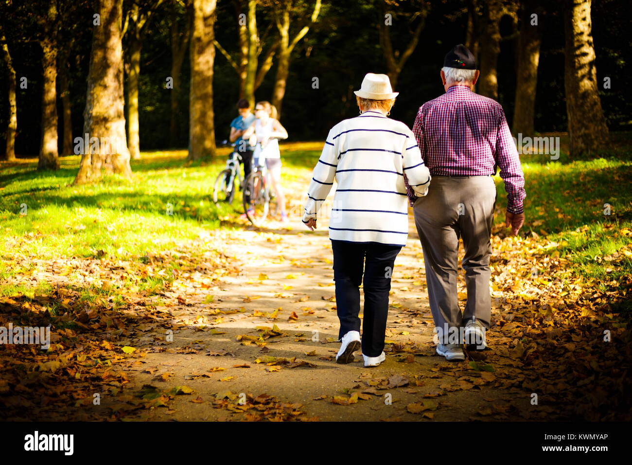 Elderly couple walking away from the camera arm in arm through a wooded ...