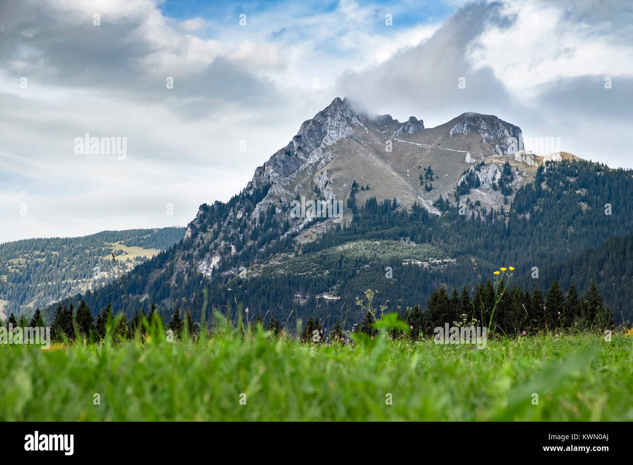 Tal image hi-res stock photography and images - Alamy