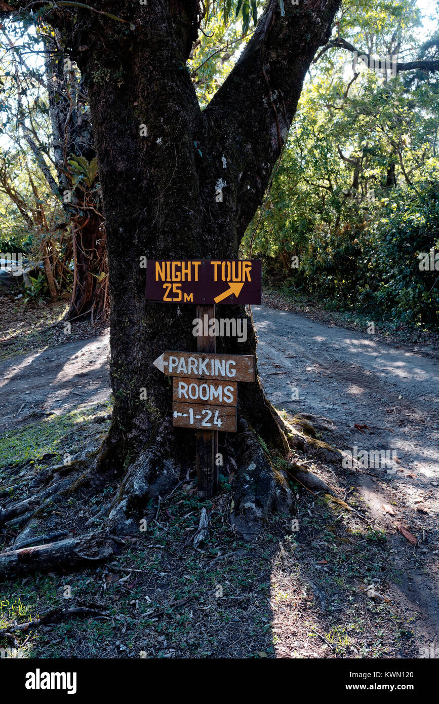 Yellow arrove hi-res stock photography and images - Alamy