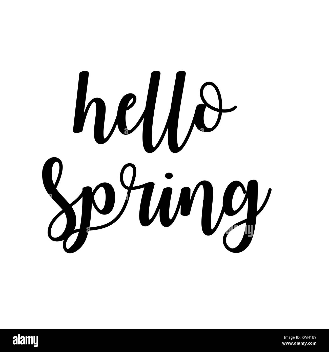 hello spring calligraphy isolated on white background. brush lettering ...
