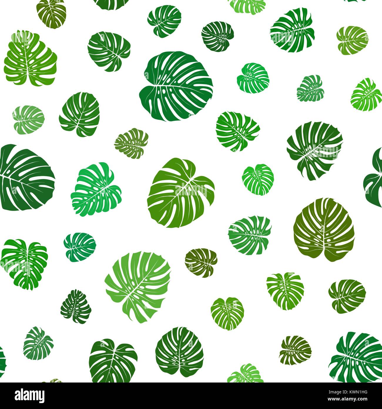 Monstera leaves pattern vector hi-res stock photography and images - Alamy