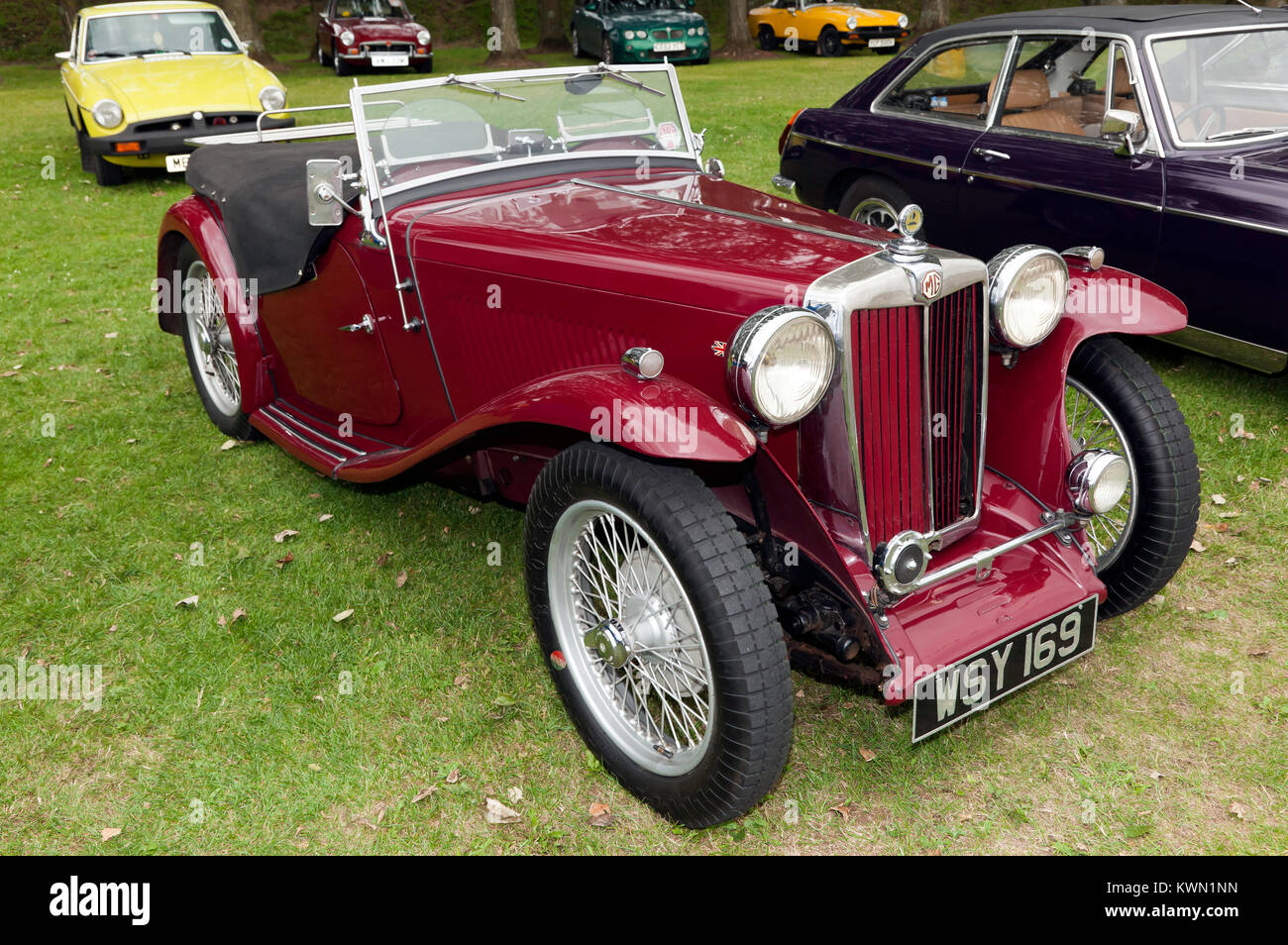 Mg tc hi-res stock photography and images - Alamy