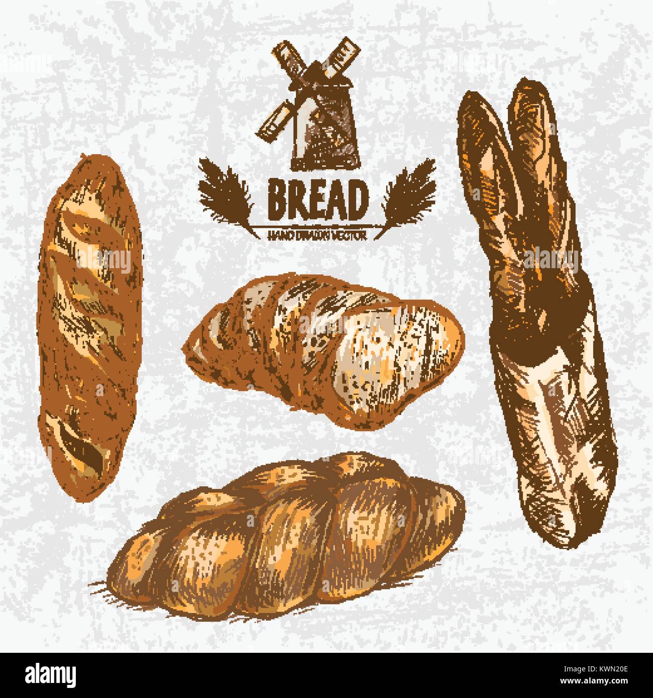 Digital color vector detailed line art golden loaves of white and ...