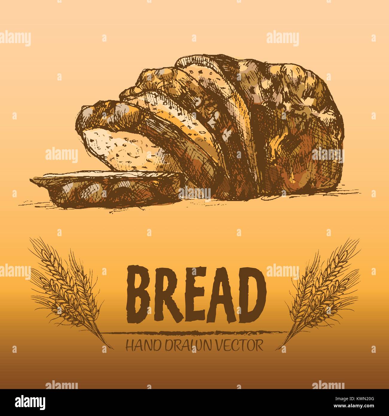 Digital color vector detailed line art golden loaf of rye bread, slices ...