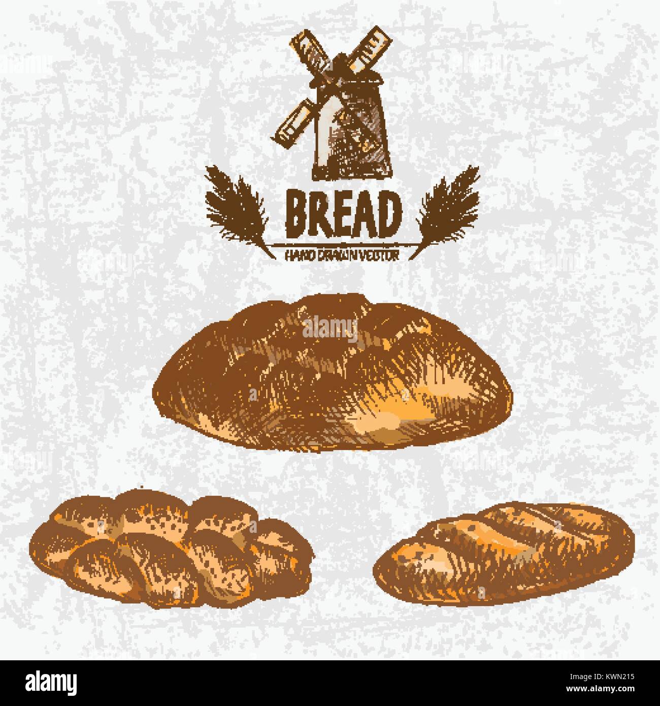 Digital color vector detailed line art golden loaves of round, braided ...