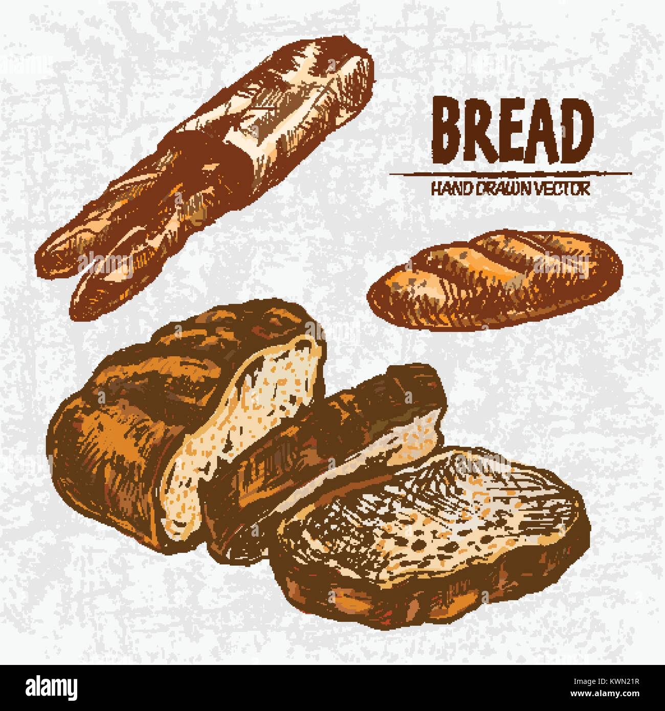 Digital color vector detailed line art golden loaves of white and rye ...