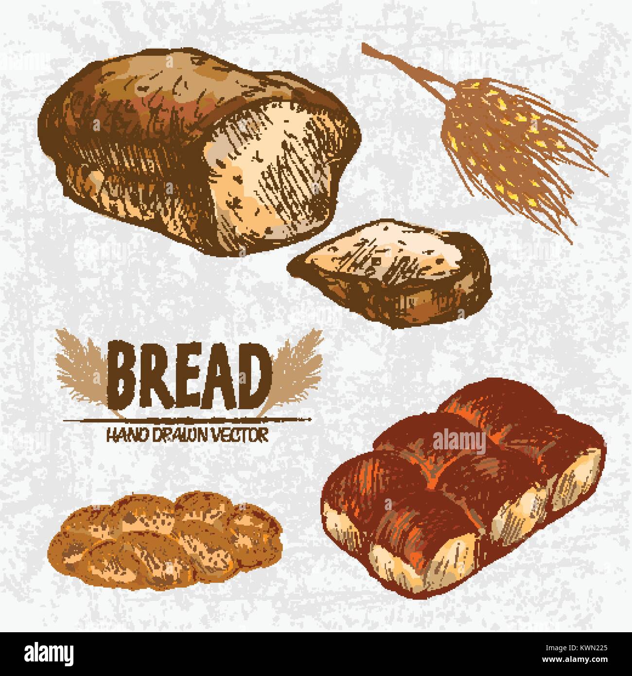 Digital color vector detailed line art golden loaves of rye and braided ...
