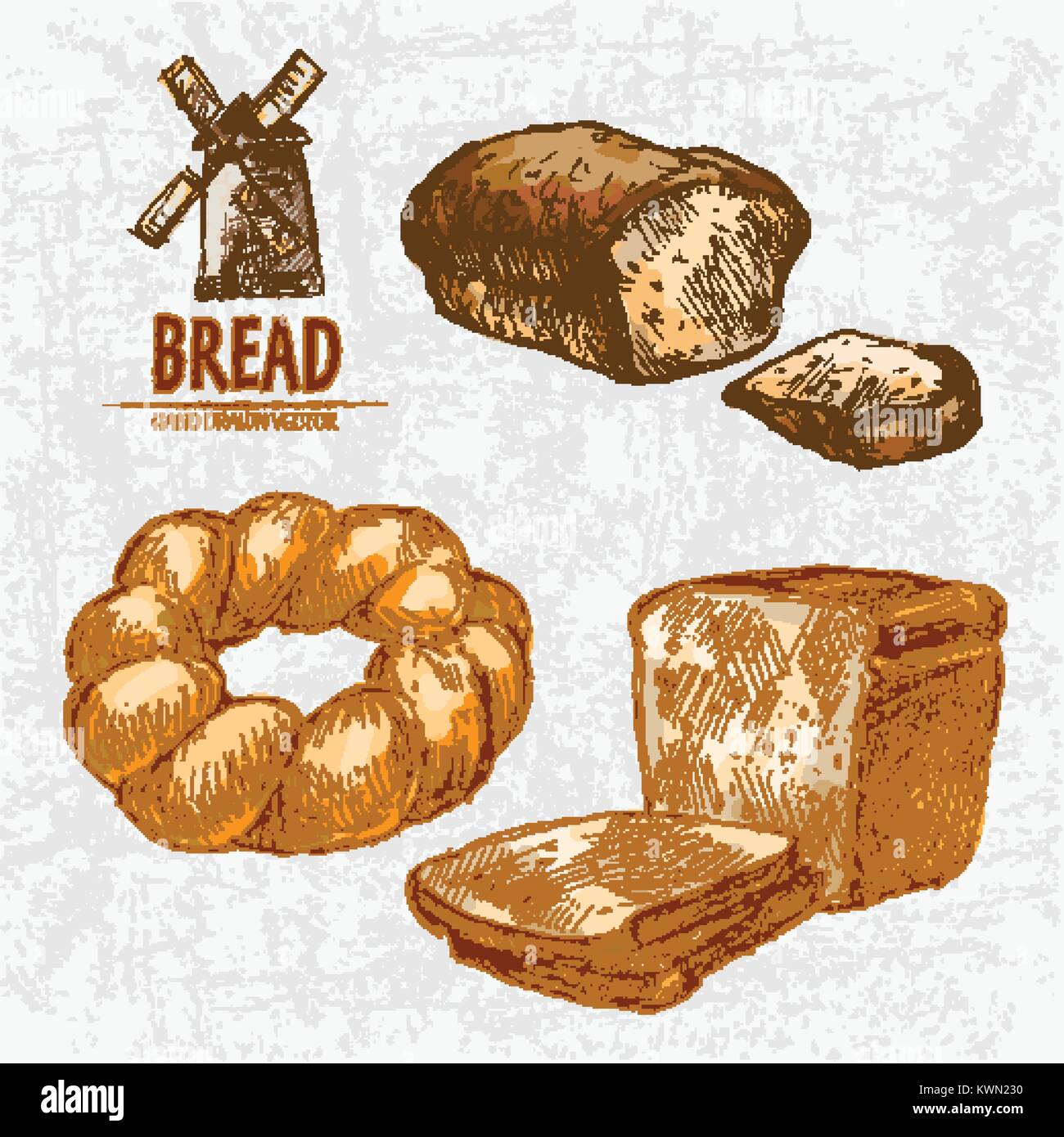 Digital color vector detailed line art golden loaves of rye, braided ...