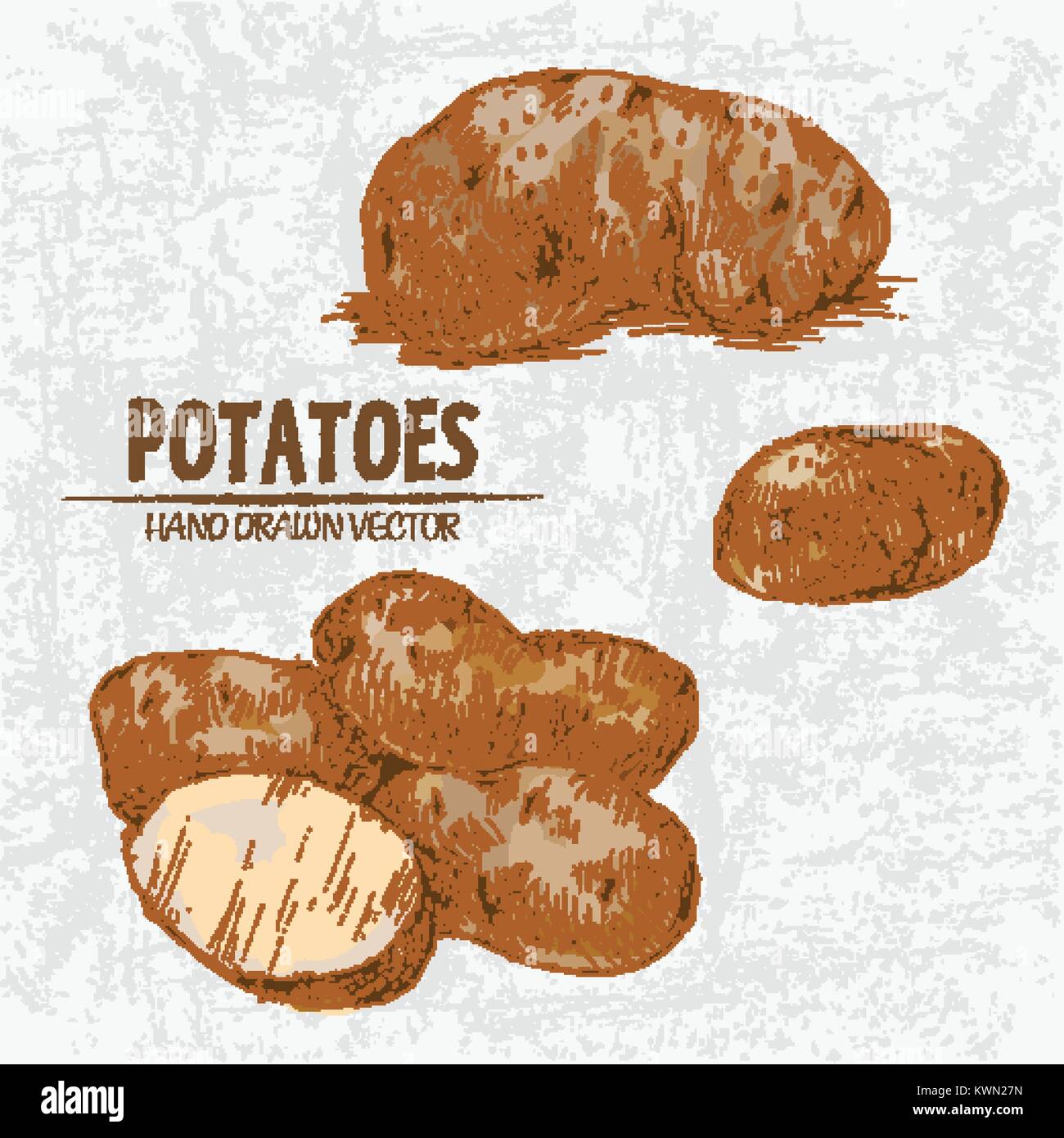 Digital color vector detailed line art golden sliced and whole potatoes ...