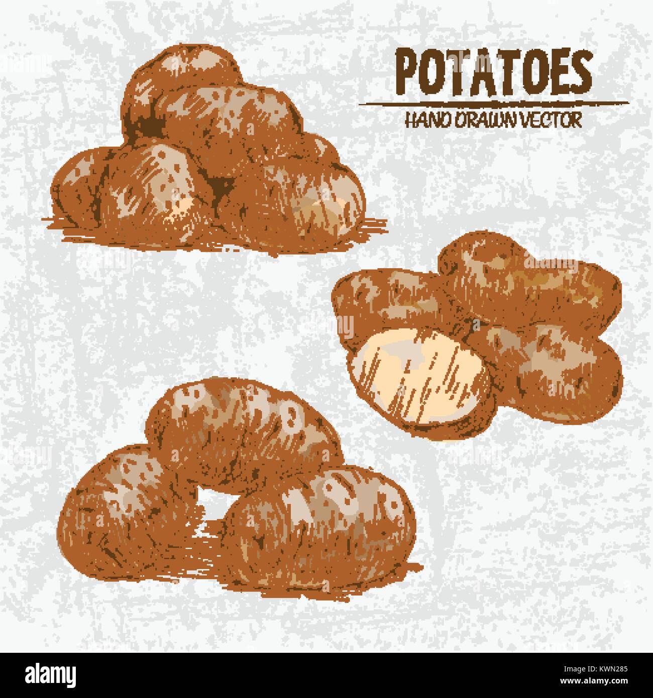 Digital color vector detailed line art golden sliced and whole potatoes ...