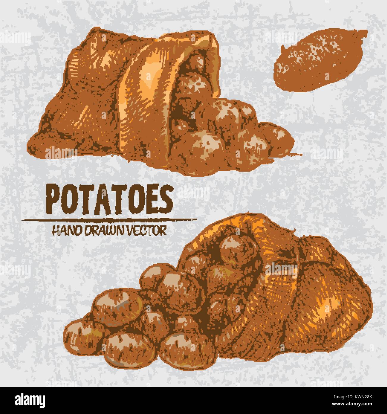 Digital color vector detailed line art golden potatoes falling from ...