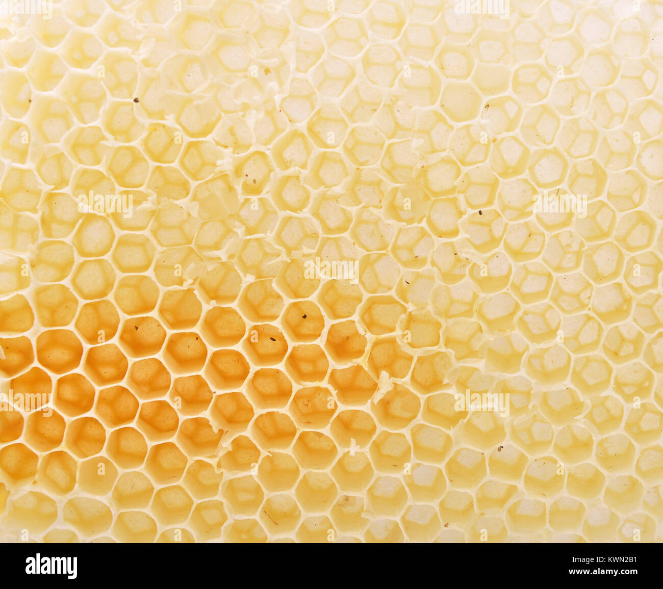 Bees comb as background Stock Photo - Alamy