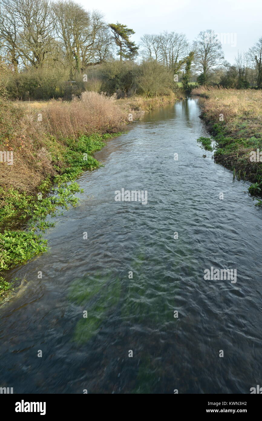 Cerne River, Dorset Stock Photo - Alamy