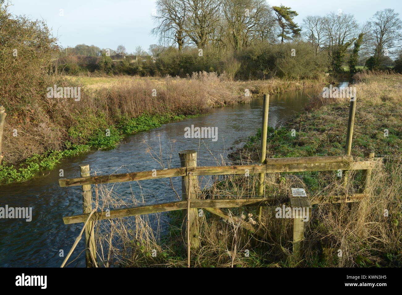 Cerne River, Dorset Stock Photo - Alamy
