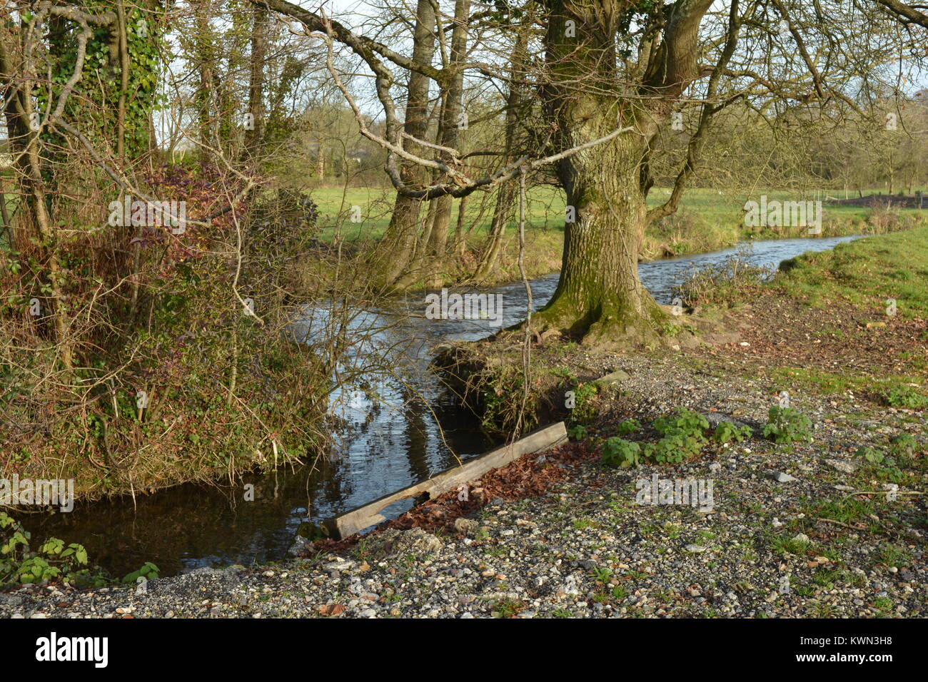 Cerne River, Dorset Stock Photo - Alamy