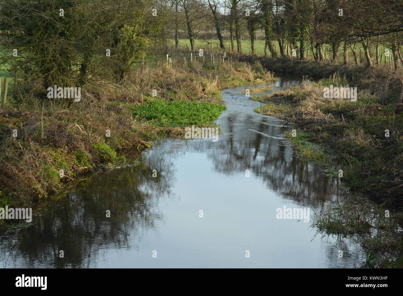 Cerne River, Dorset Stock Photo - Alamy
