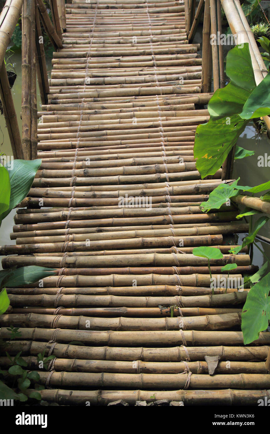 Vietnam bridge bamboo hi-res stock photography and images - Alamy
