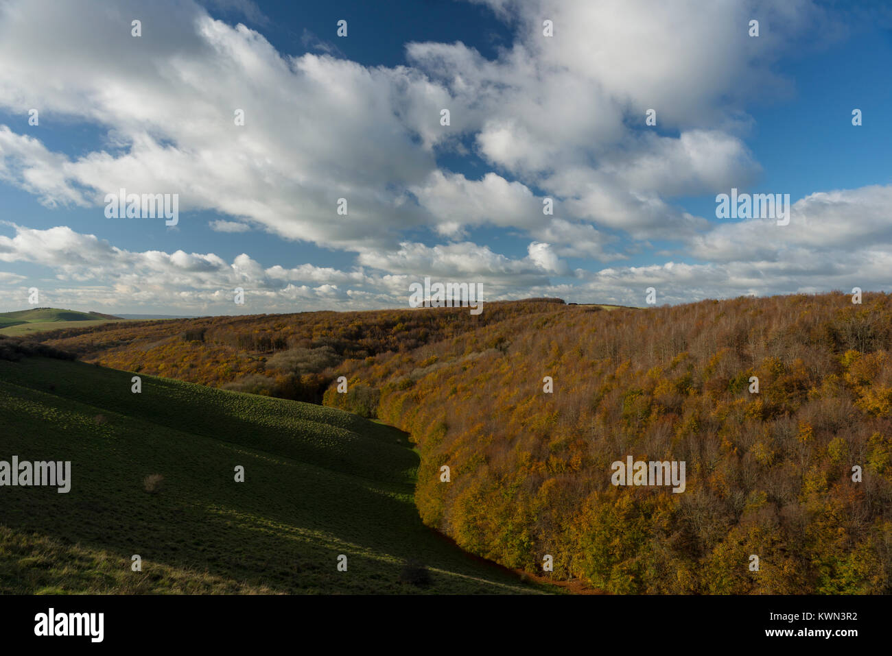 Melbury dorset hi-res stock photography and images - Alamy