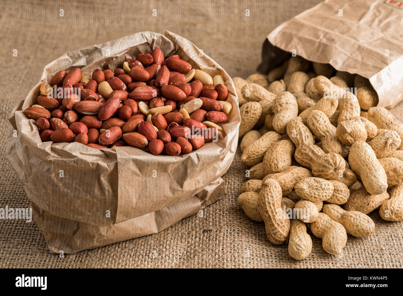 Paper bags full of peeled peanuts and peanuts in nutshell on sackcloth ...