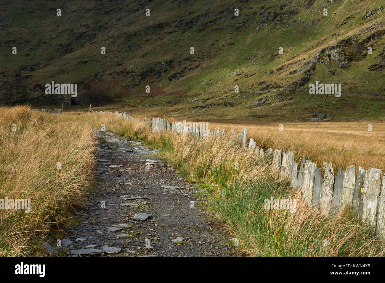 Traditional fencing hi-res stock photography and images - Alamy