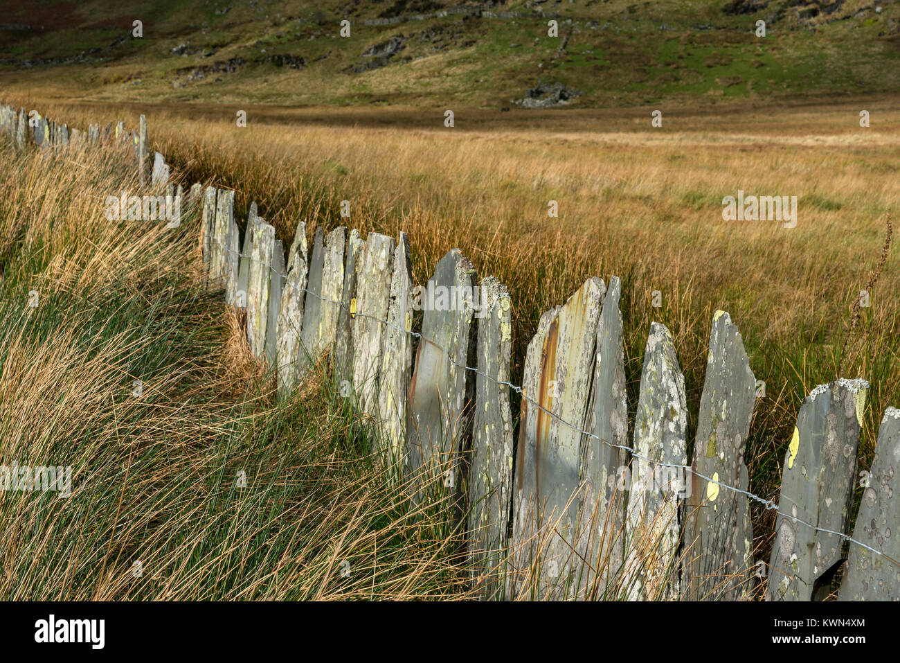 Traditional fencing hi-res stock photography and images - Alamy