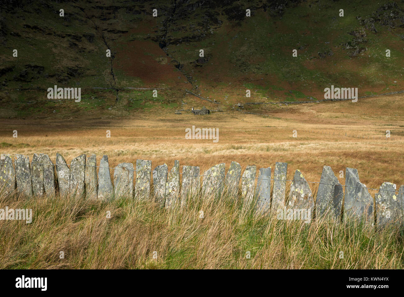 Welsh fencing hi-res stock photography and images - Alamy