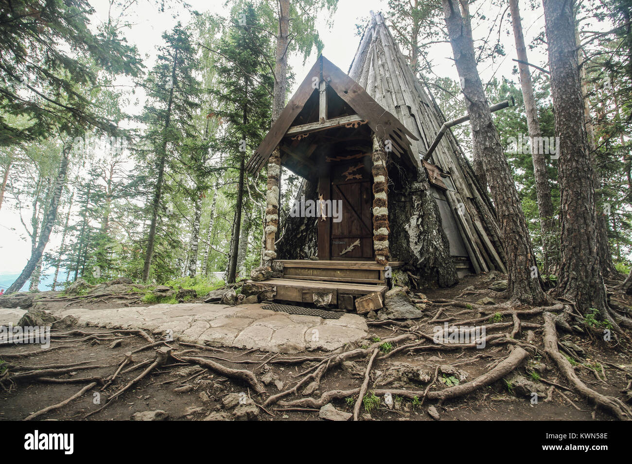 Lonely old hut in the middle of the forest Stock Photo - Alamy