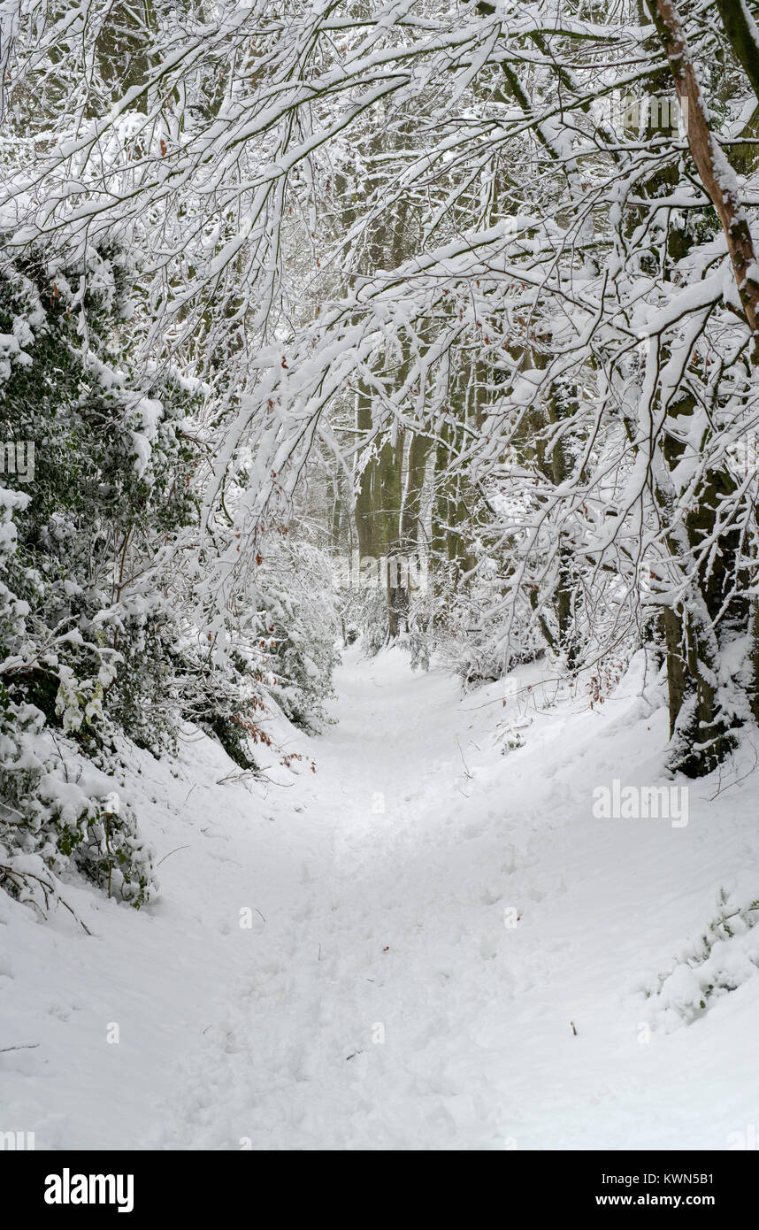 Tunnel through hillside hi-res stock photography and images - Alamy