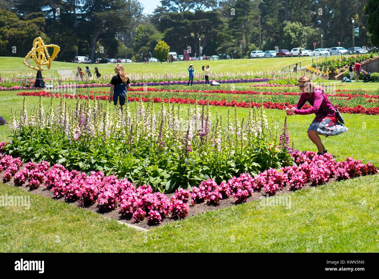 Female tourist bends down hi-res stock photography and images - Alamy