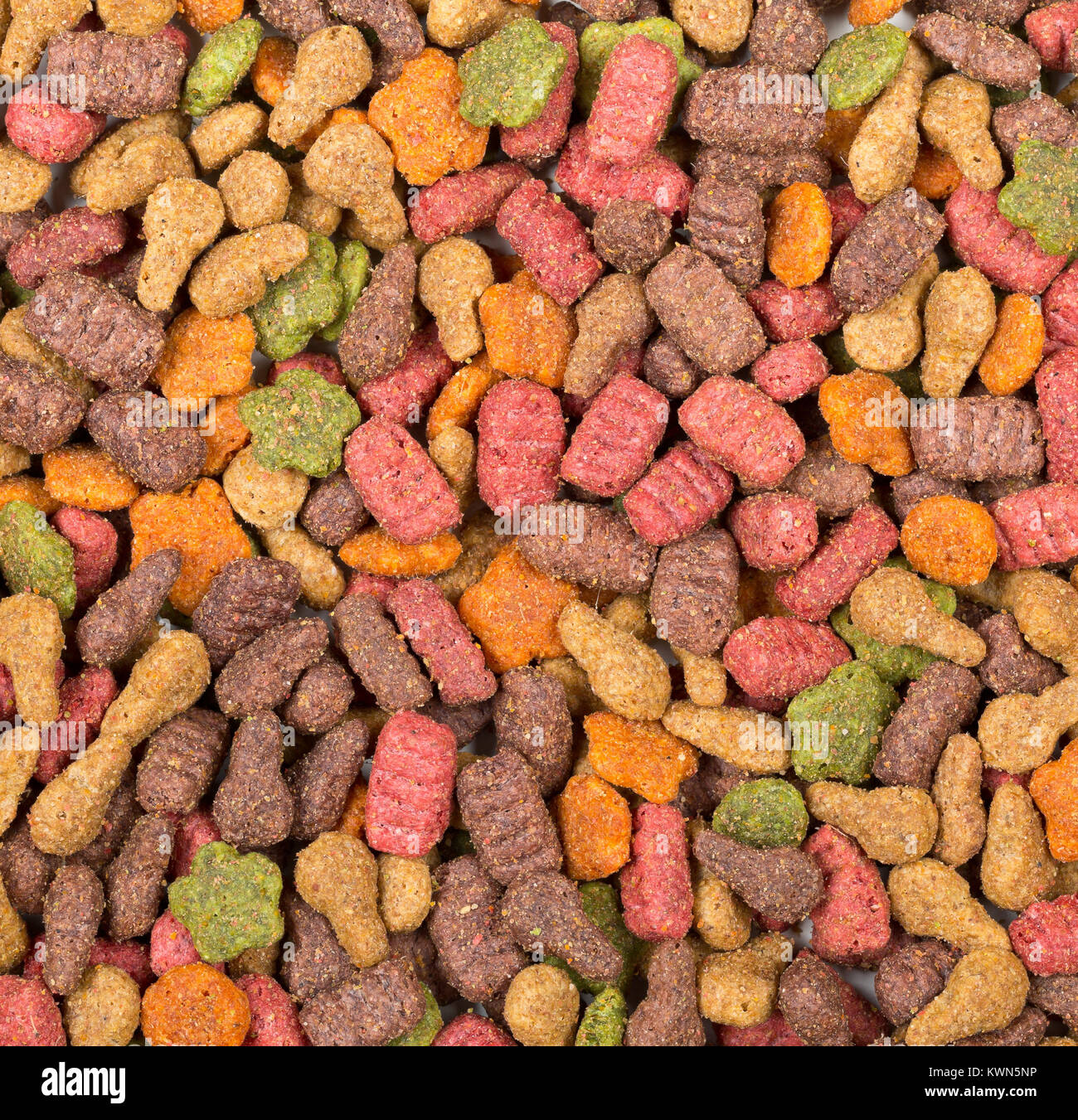 Dry pet food top view frame filling Stock Photo - Alamy