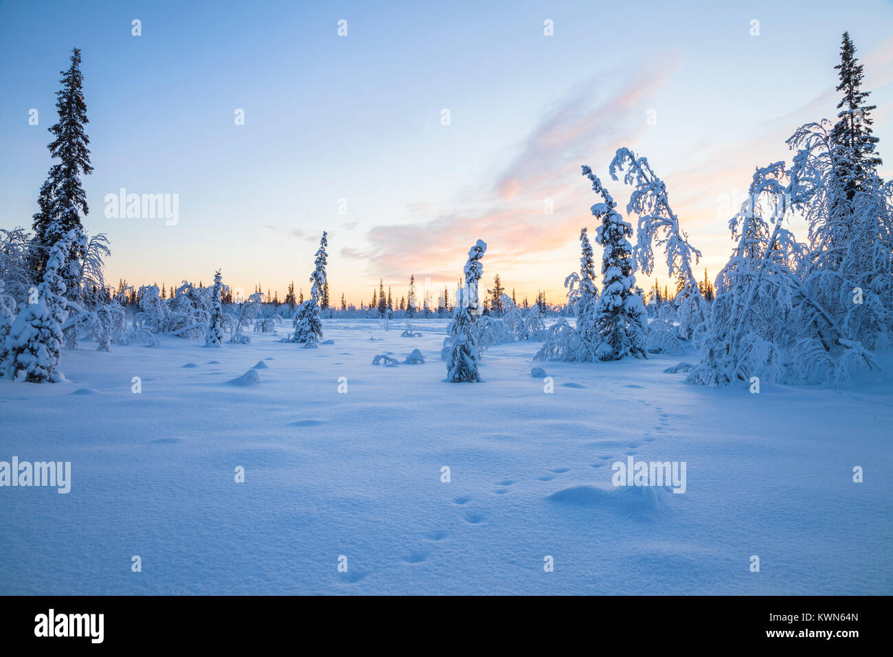 Arctic winter landscape from wilderness of Swedish Lapland Stock Photo ...