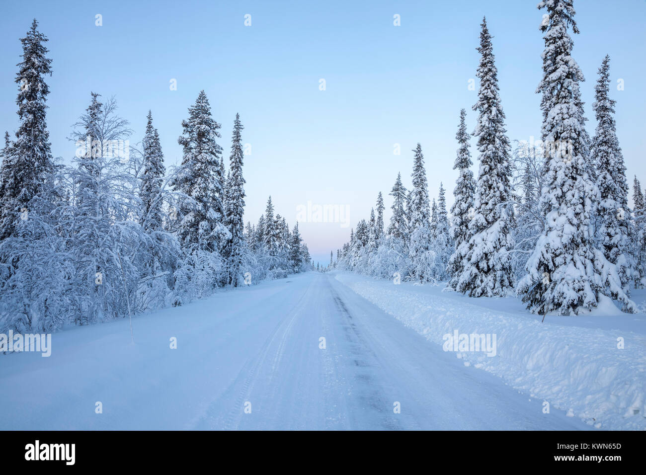 Winter road through snowy arctic forest in Swedish Scandinavia Stock ...
