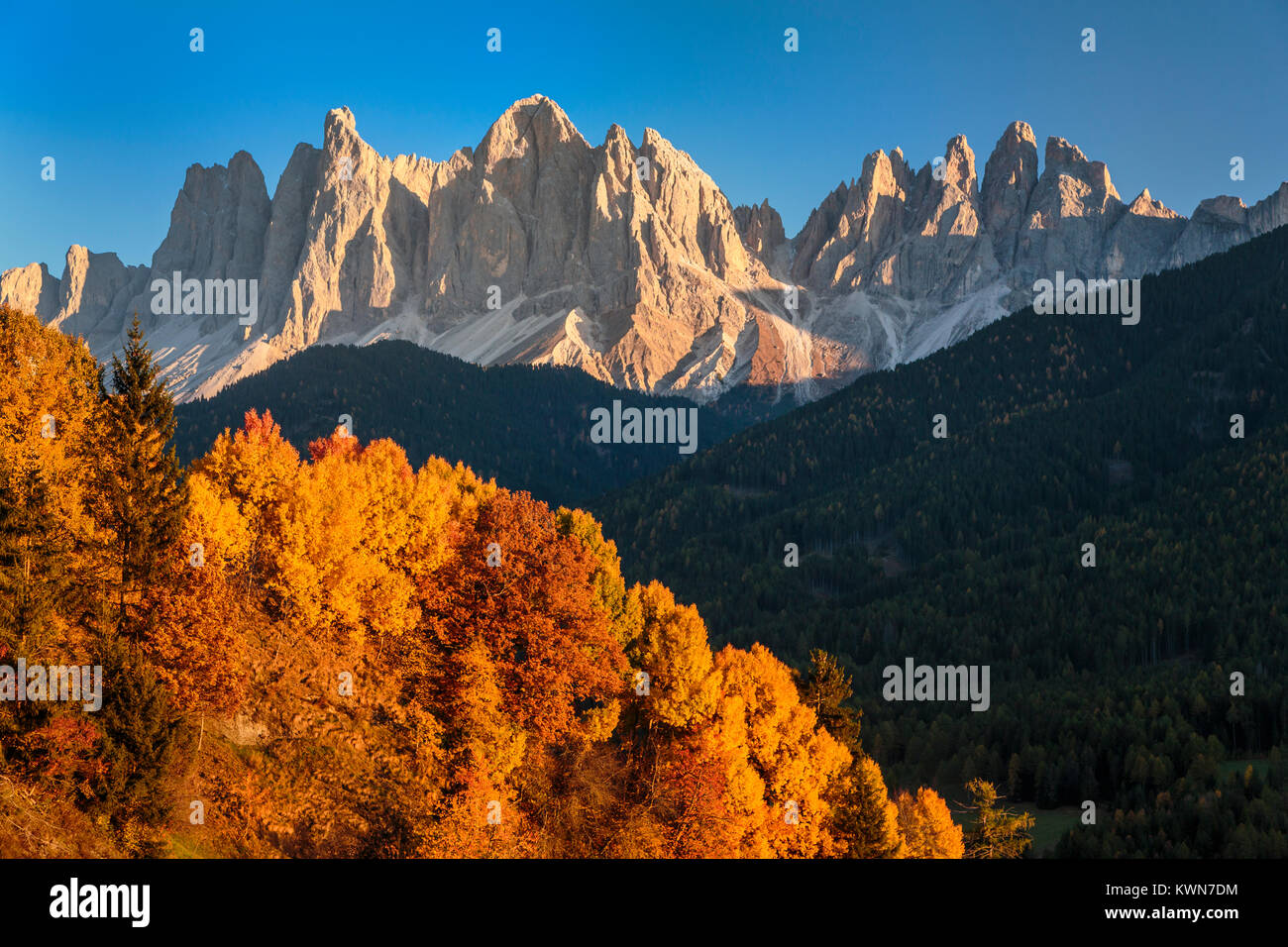 The Dolomite moutain range with fall foliage color near San Pietro, Val ...