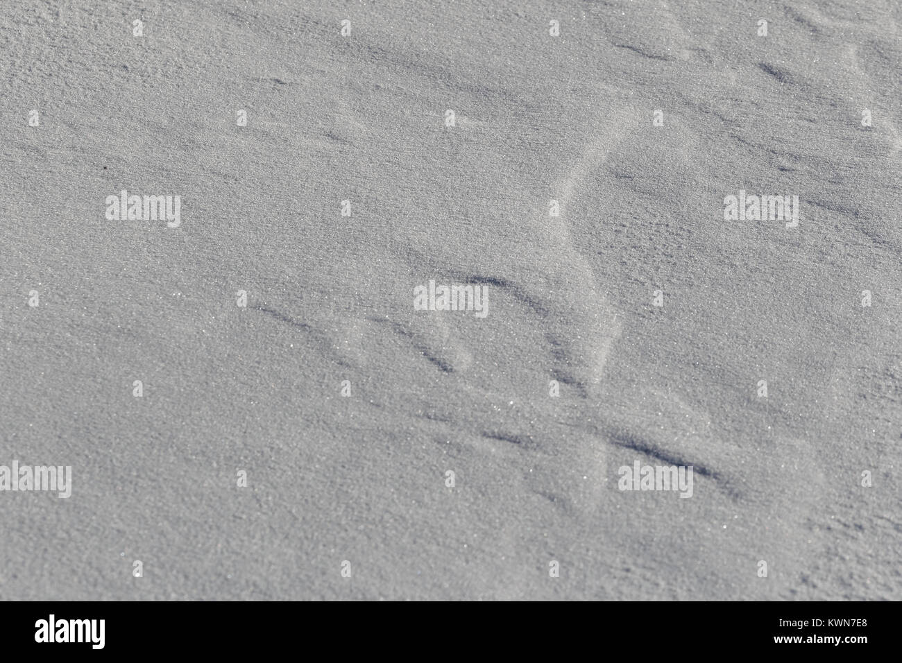 Quebec,Canada. Small snow drifts caused by wind Stock Photo - Alamy