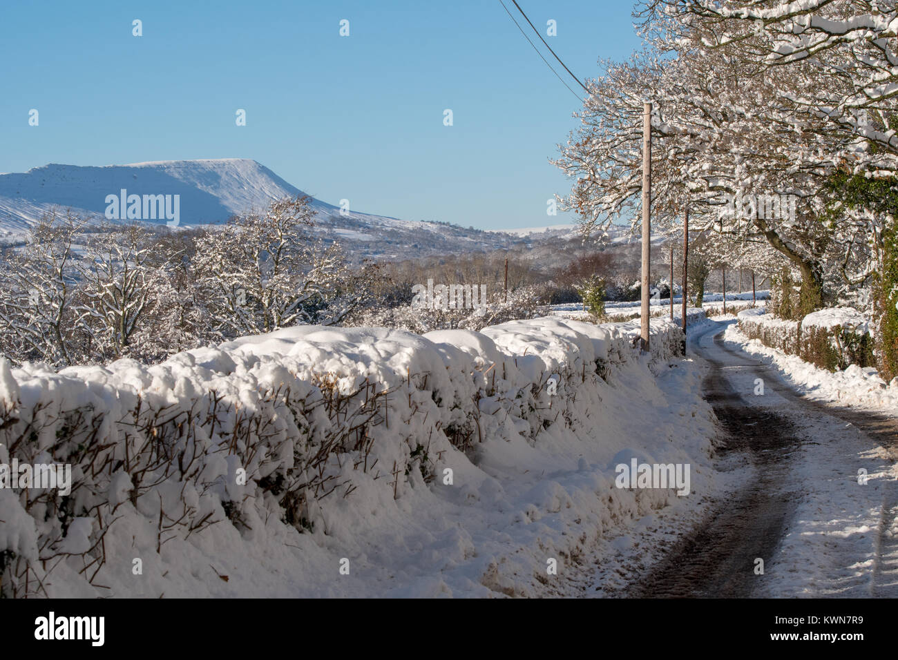 Lane Border High Resolution Stock Photography and Images - Alamy