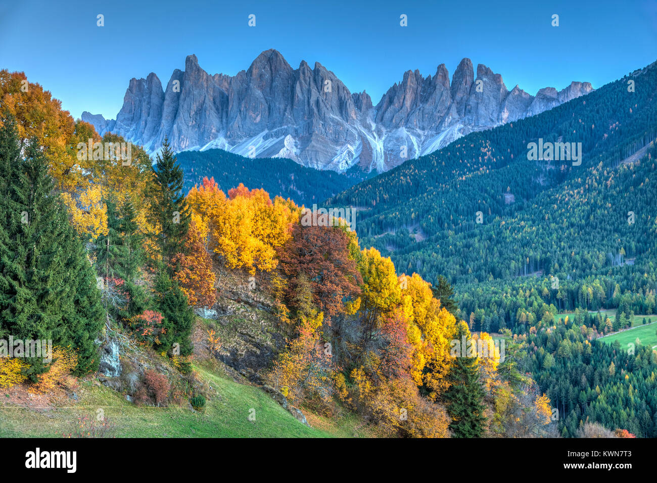 The Dolomite moutain range with fall foliage color near San Pietro, Val ...