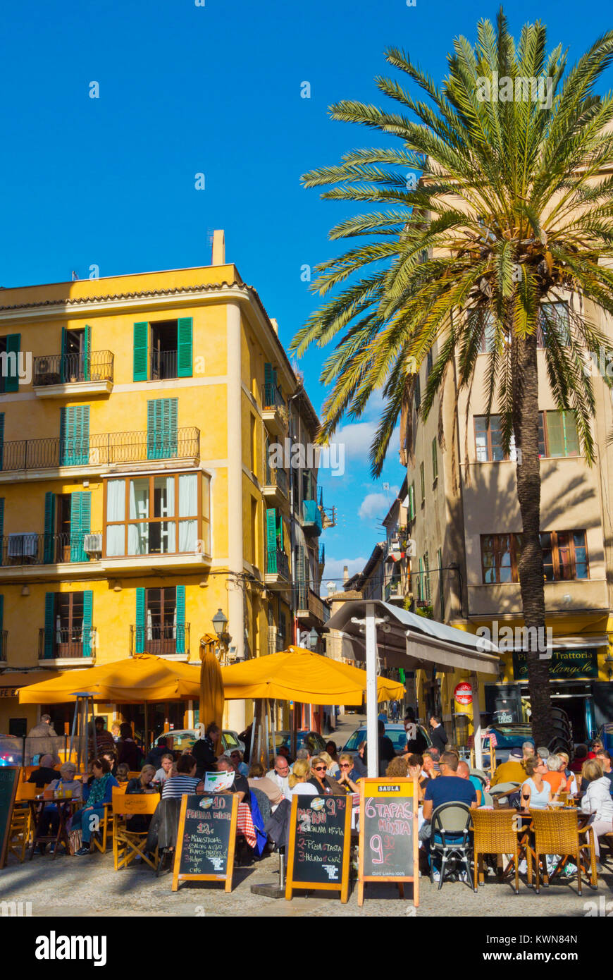 Cafe and restaurant terraces, Placa de la Llotja, Palma, Mallorca ...