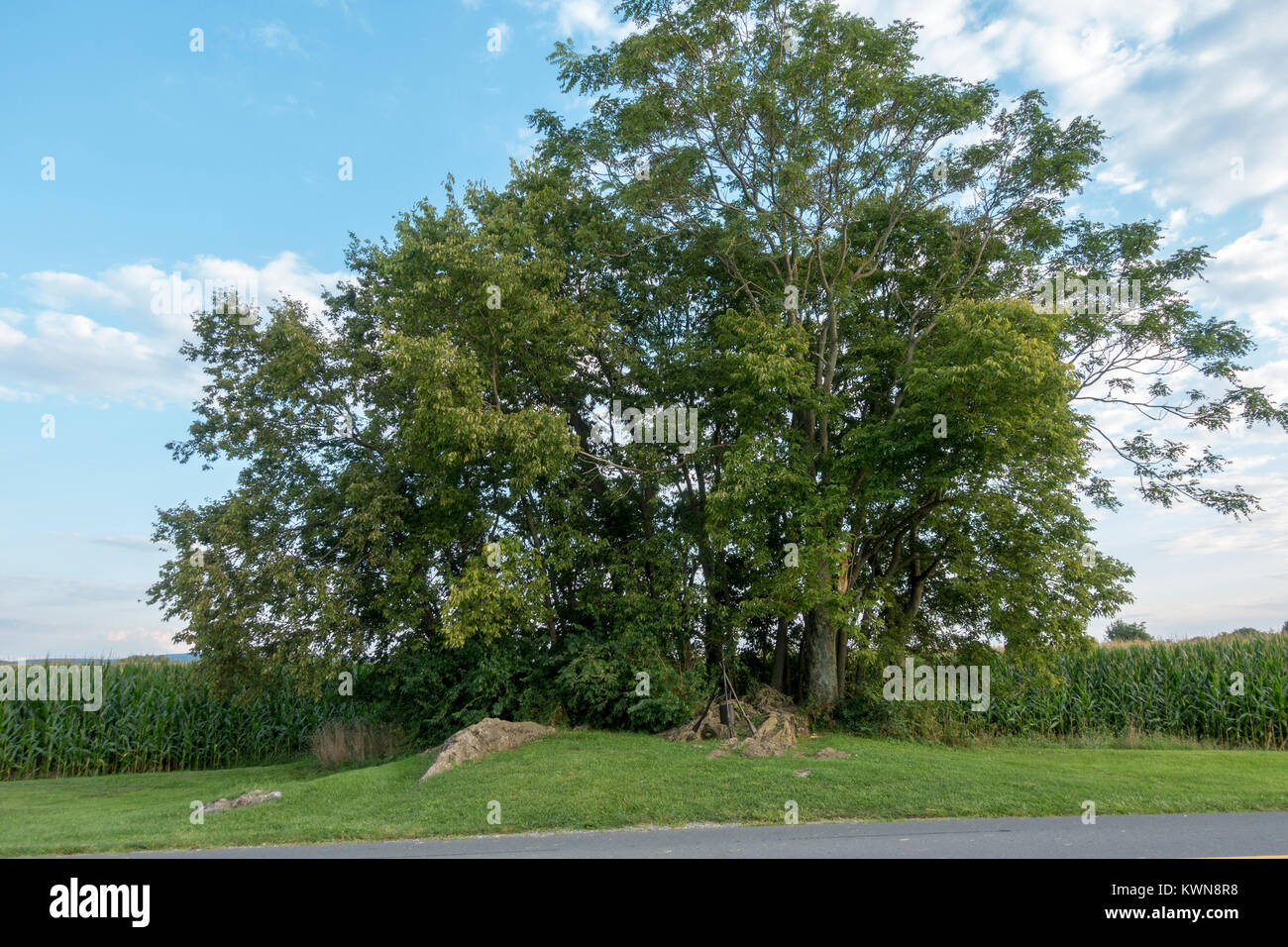 The 90th Pennsylvania Volunteer Infantry Monument, Miller's Cornfield ...