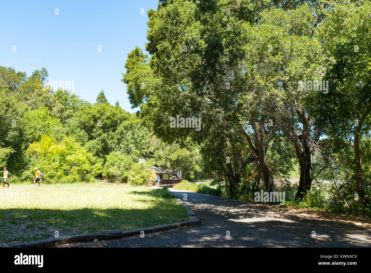Trees and a walking path are visible at Lafayette Reservoir, Lafayette ...