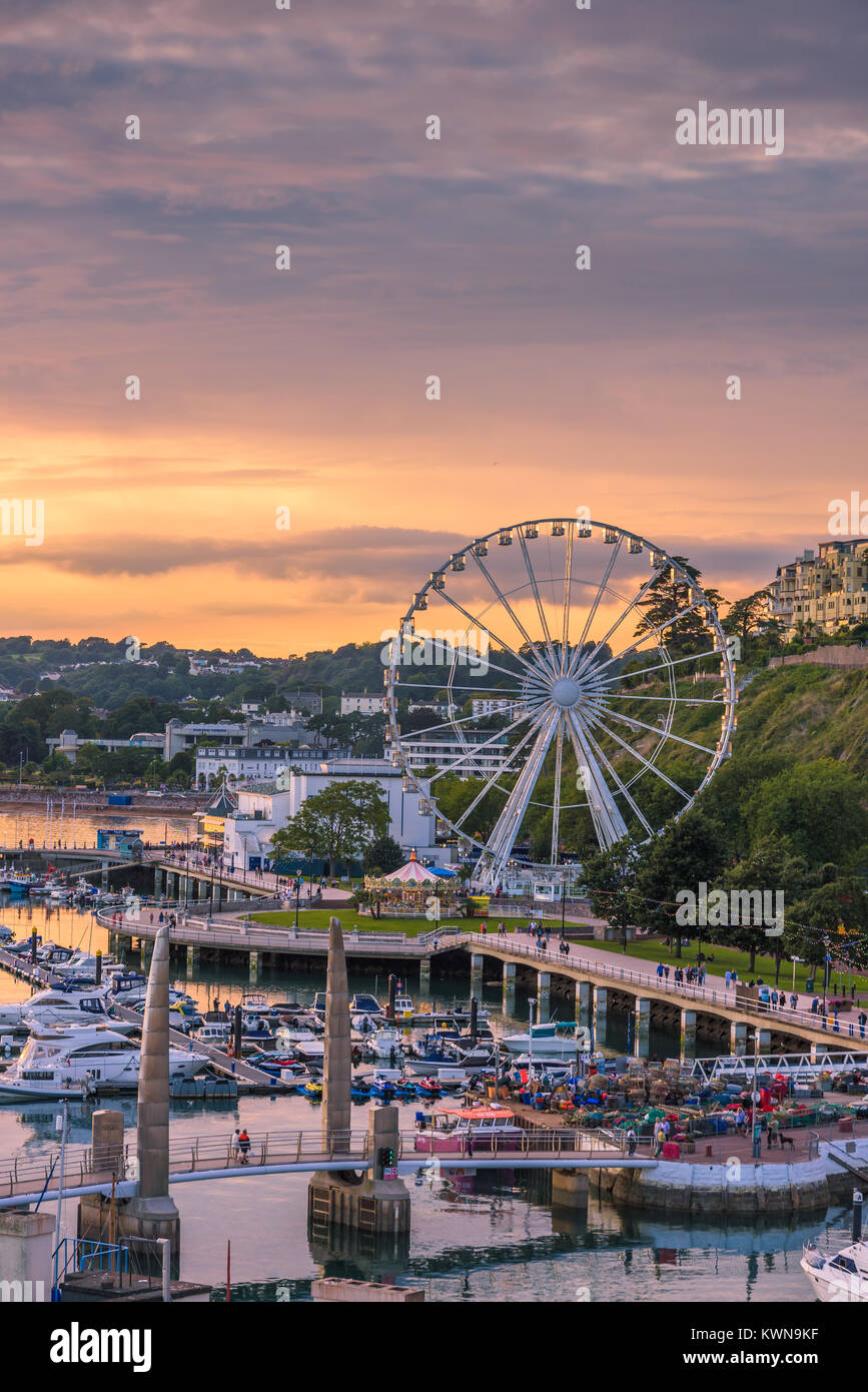 Torquay hi-res stock photography and images - Alamy