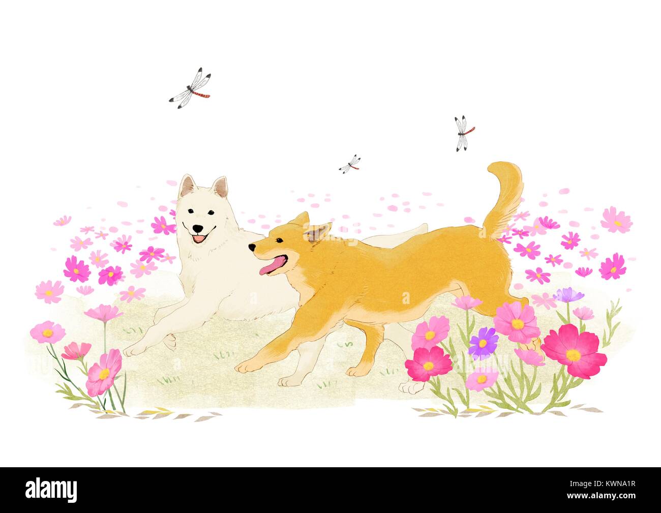 Dog with litter of puppies Stock Vector Images - Alamy