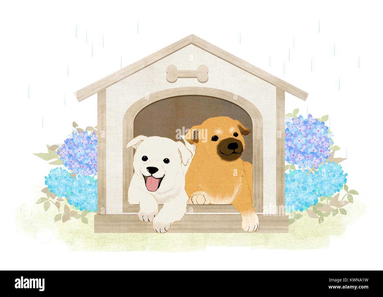 Rainy grassland Stock Vector Images - Alamy