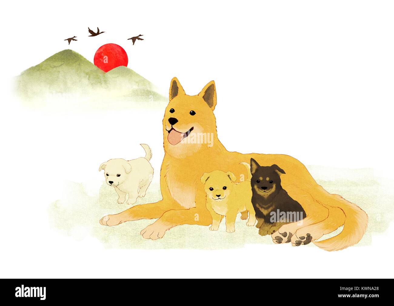 Litter Of Puppies With Mother High Resolution Stock Photography and ...