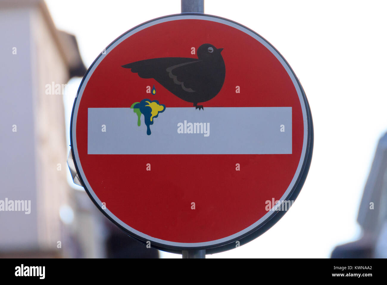 Road sign with a painted bird over signal, street art, metropolitan art ...