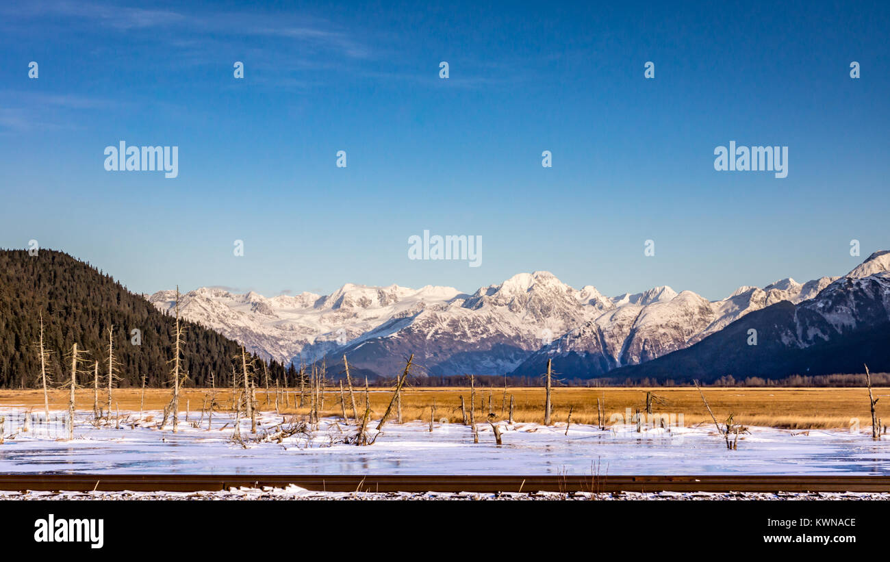 Dead trees alaska hi-res stock photography and images - Alamy
