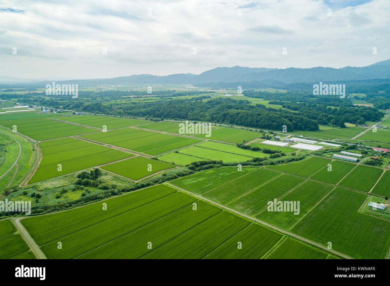 Ishikari river hi-res stock photography and images - Alamy