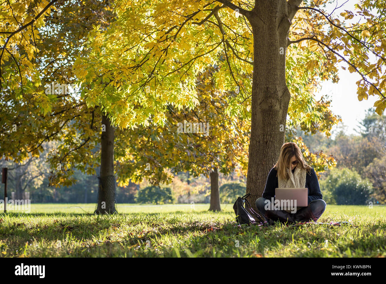 Woman sitting under tree writing hi-res stock photography and images ...