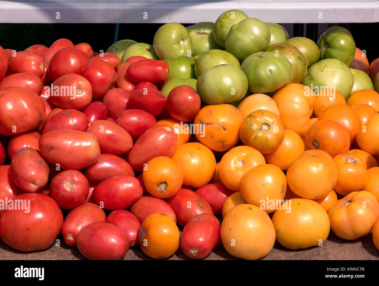 Bushel of tomatoes hi-res stock photography and images - Alamy